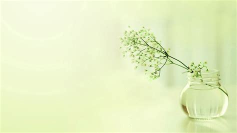 Backgrounds Flowers Classy