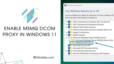 how do i enable isapi filters in windows 11
