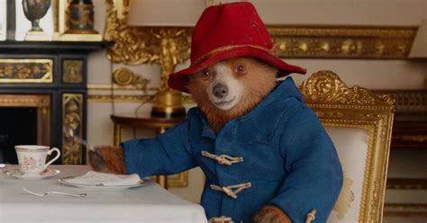 Bbc Mocked For Announcing Shock News That Paddington Bear Isnt