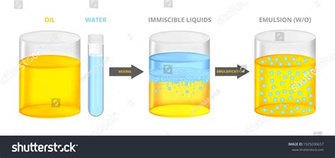 Vector Scientific Illustration Set Emulsification Isolated 库存矢量图免版税 Shutterstock