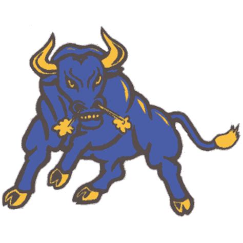 Northwestern Bulls Football Miami Fl High School On Si