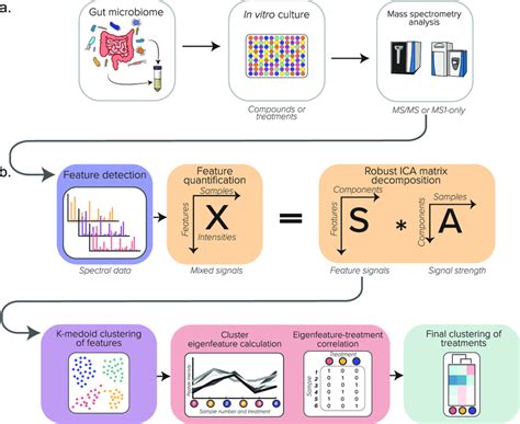 Illustrated Schematic Of The Computational Mpc Ms1 Workflow A