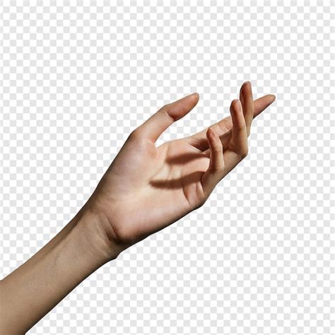 여성 손은 투명한 배경에 분리 된 Png를 열고 프리미엄 Psd 프리미엄 Psd 파일