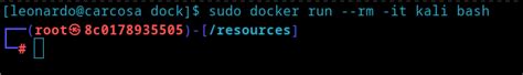 Executando Aplicações Gui Em Container No Linux H41stur