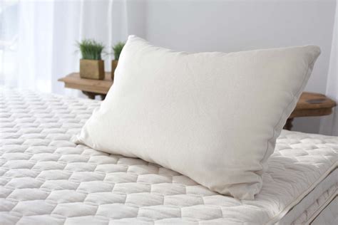 The Best Natural And Organic Pillows For A Cleaner Greener Sleep — The