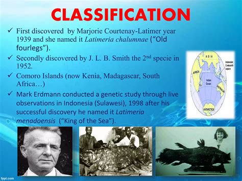 Class Actinopterygii And Class Sarcopterygii Pptx Fish And Class Actinopterygii And Class Sarcopterygii Pptx Fish And