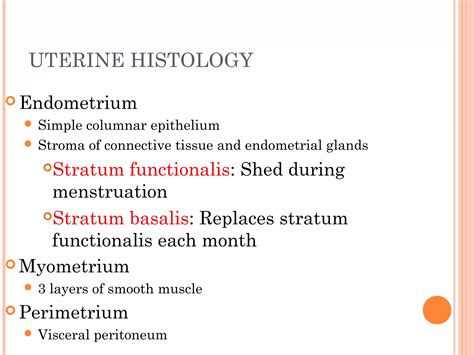 The Female Reproductive System Ppt