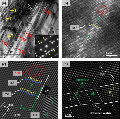 A Bf Tem Image Of The Twin Microstructure At True Strain Of 0 15 Download Scientific Diagram