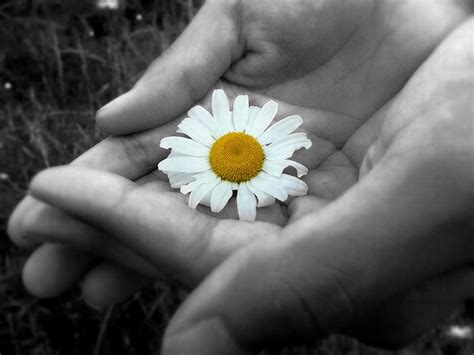 Selective Color Pics