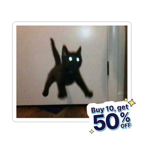 Woah Cat Sticker For Sale By Amira Love Cat Memes Cute Cats And