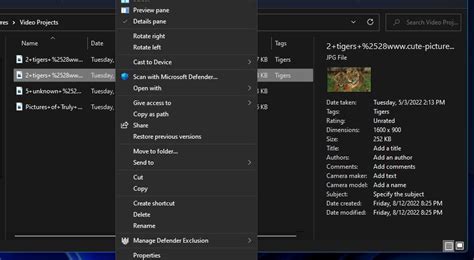 how to add preview and details pane options to file explorer s context menu