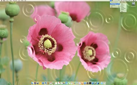 Dynamic Wallpapers Para Pc Y Mac Descargar Gratis 2023 Versión Pcmac Store