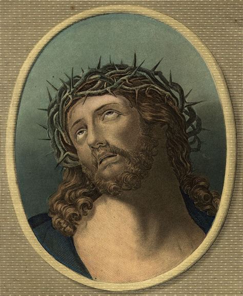 Crown Of Thorns Used On Jesus