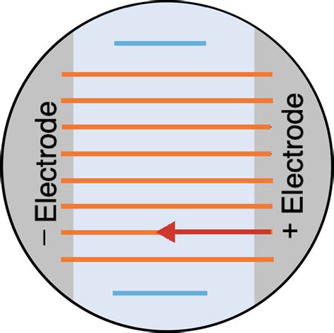 Schematic Shows A Plan‐view Of The Laser‐scan‐path Patterns On The