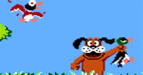 Duck Hunt 🕹️ Play On Crazygames
