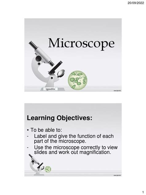 compound microscope download free pdf microscope staining