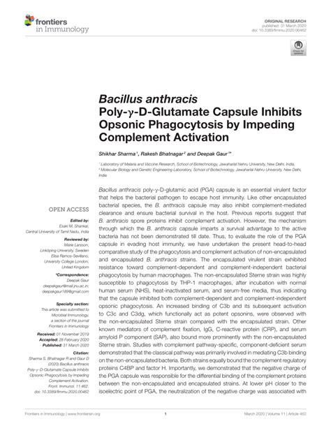 Pdf Bacillus Anthracis Poly γ D Glutamate Capsule Inhibits Opsonic