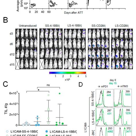 Her2 Specific Car T Cells With Cd28 Signaling Outperform 4 1bb