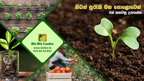 සත්ව පාලනය හා නිෂ්පාදන සත්ව පාලනය හා නිෂ්පාදන දැනුම