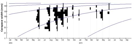 Length Frequency Distribution With Seasonal Von Bertalanffy Growth Download Scientific Diagram