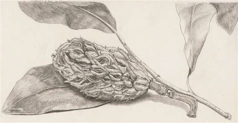 Sketch A Day 2011 3 1 11
