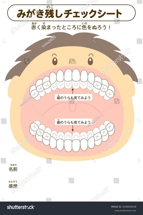 Plaque Disclosing Tablets Over 3 Royalty Free Licensable Stock Illustrations And Drawings