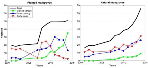Evolution Trends In Surface Extents Of Plantations Left And Natural