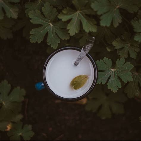 Simona Andrejić Photography Simona Andrejić Photography