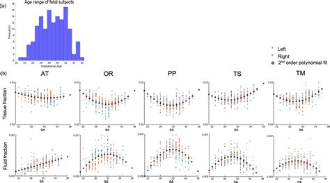 Spatiotemporal Tissue Maturation Of Thalamocortical Pathways In The Human Fetal Brain Elife
