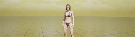 Using A Custom Character Soulslike Framework Docs