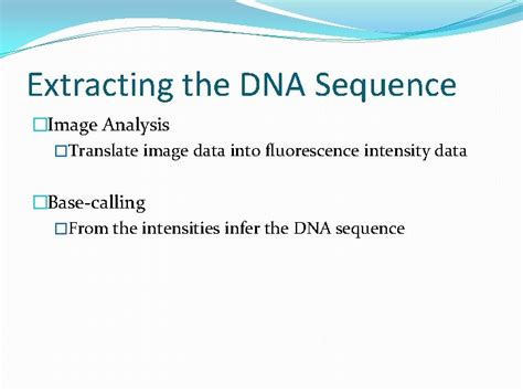 Naive Bayes Call An Efficient Modelbased Basecalling Algorithm