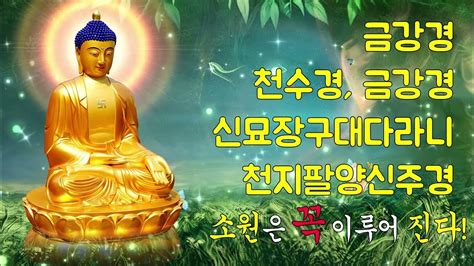 불교음악 반야심경🌕100억 부자의 기운🌕부를 쫓는 해바라기 소원성취 로또1등 스피또 2등 부동산 주식 자기긍정 자기암시 명상음악 돈을