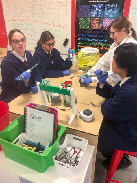 Students Go Stem Mad For Science Catholic Outlook