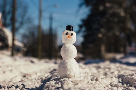 Winter Real Snowman