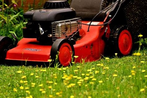 Push Mowers 101 And Definitive Buyers Guide For A Great Lawn