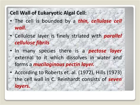 Structure Of Micro And Macro Algal Cells PPT