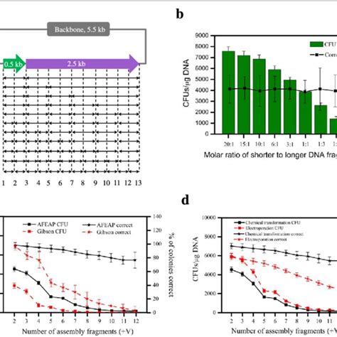 Assembly Efficiency Of Multiple Dna Fragments With Afeap Cloning A