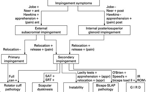 Screening The Athletes Shoulder For Impingement Symptoms A Clinical