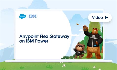 IBM Integration Solutions MuleSoft