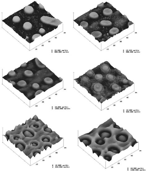 Figure 1 1 From Morphological Control Of Polyethylene Oxide