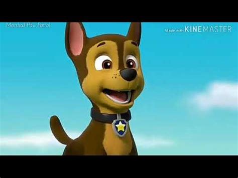 Light It Up Paw Patrol Chase And Marshall Tribute For Chase Cute