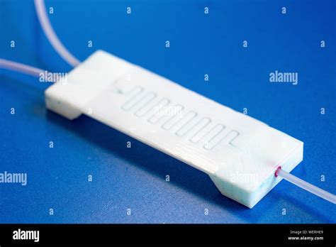 Lab On Chip Microfluidic Device Stock Photo Alamy