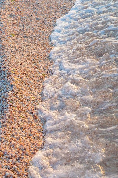Sea Surf On The Beach Of Small Shells Stock Image Image Of Bubbles