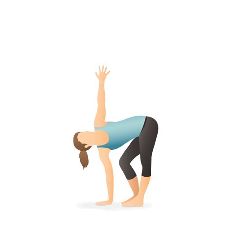 Yoga Poses Dictionary Pocket Yoga Yoga Poses Dictionary Pocket Yoga