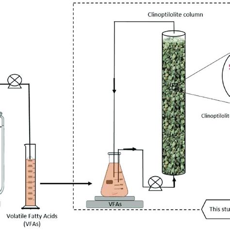schematic overview of mbr setup for ad vfa production and fixed bed
