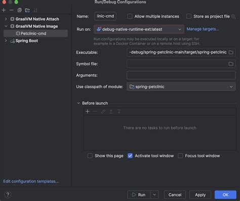 Set Up Graalvm Native Image Debug In Intellij Idea