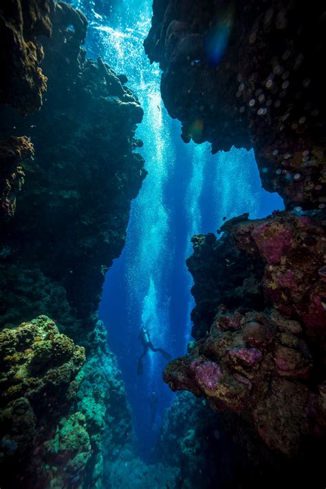 Duiken Of Snorkelen In Egypte Dit Zijn 5 Hotspots In De Rode Zee