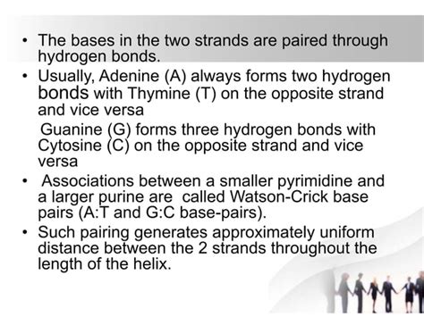 Nucleic Acids Ppt Ppt