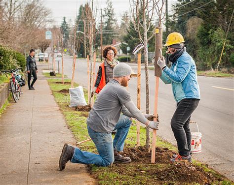 Crew Leader Training With Friends Of Trees The Intertwine