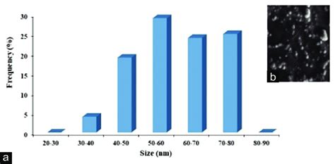Particle Size Distribution A And Scanning Electron Microscope B Of Download Scientific